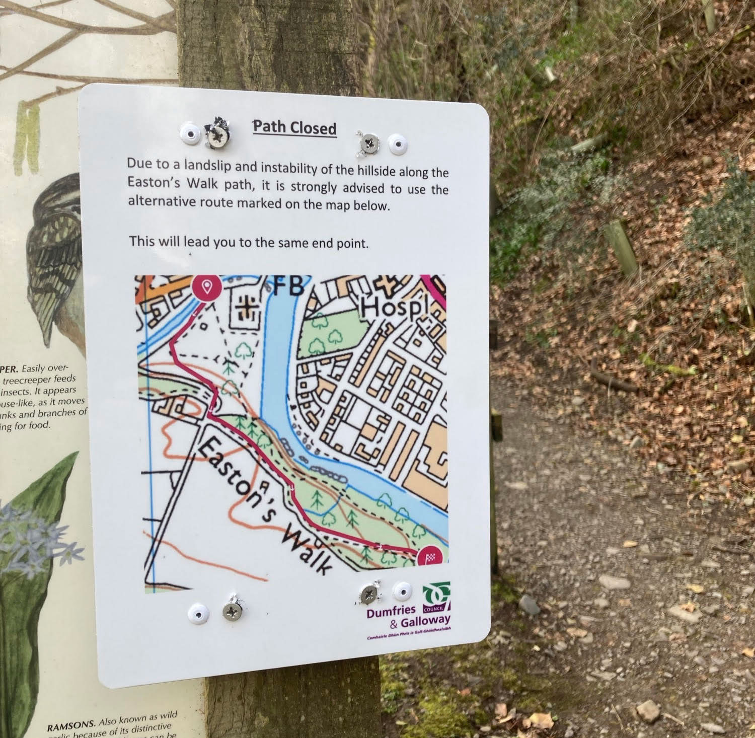 Jenny Noble's Gill - Langholm Walks