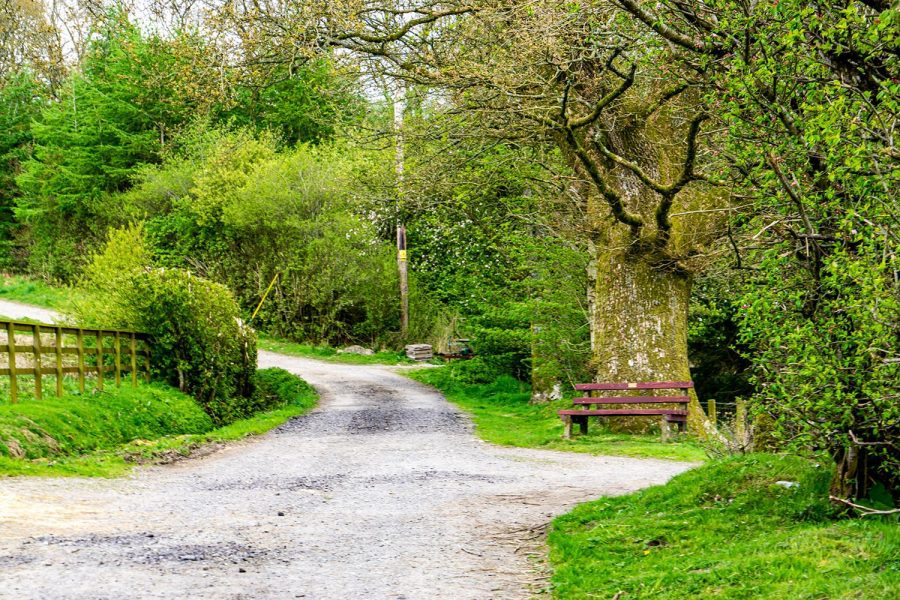 Becks and Gasgils - Langholm Walks
