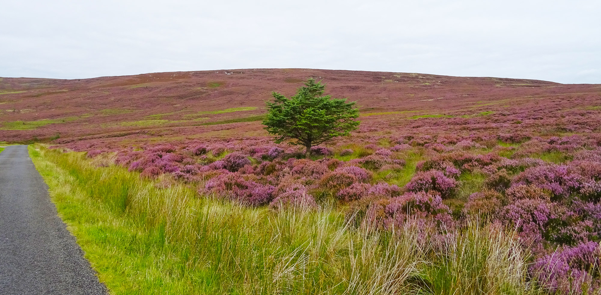 Langholm Walks - 14 walks in Eskdale.