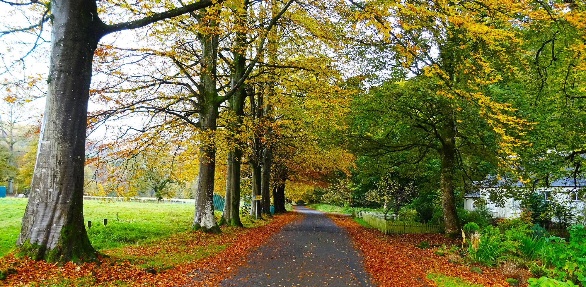 Langfauld and Potholm - Langholm Walks