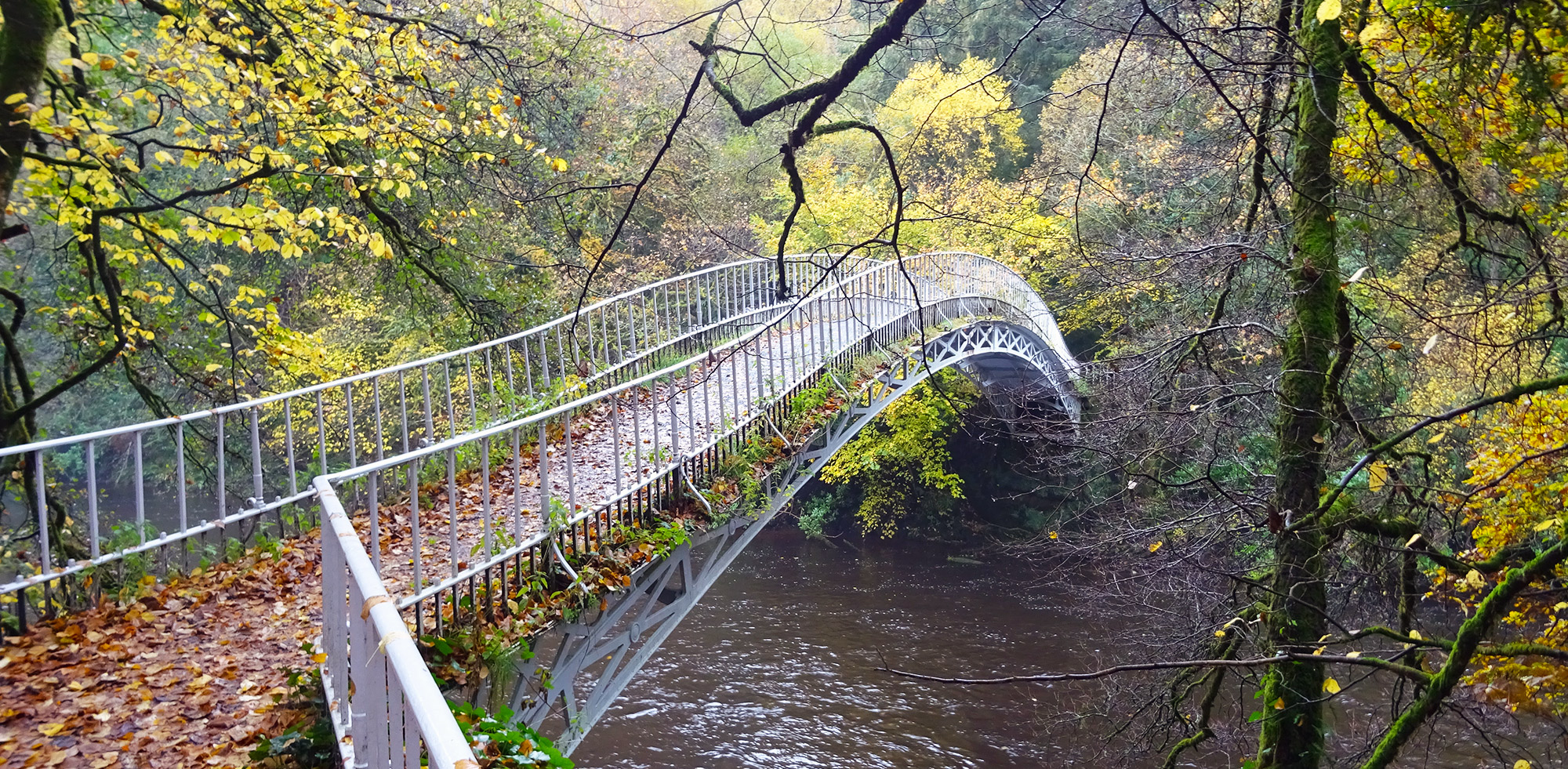 Duchess Bridge & North Lodge - Langholm Walks