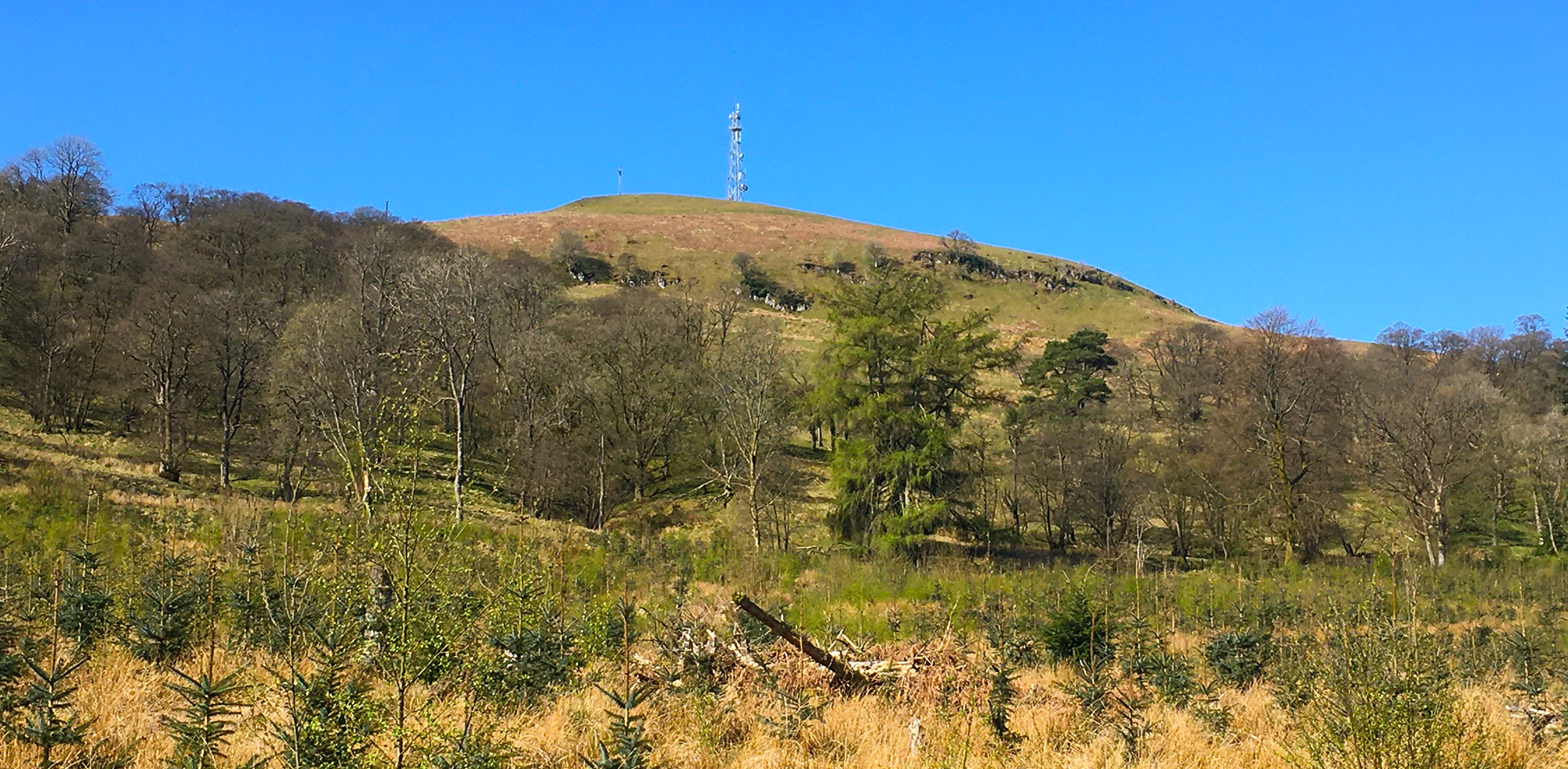 Warb Law - Langholm Walks